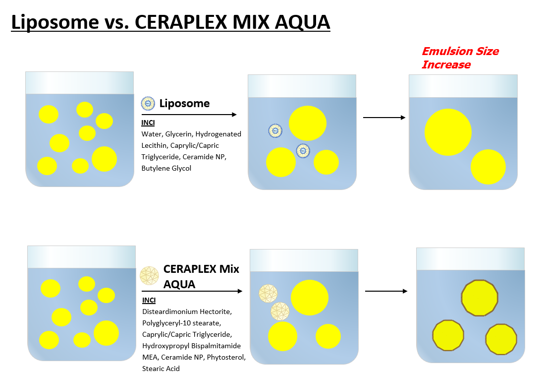介绍在O/W 配方中可以轻松使用神经酰胺的原料！ | Sunjin Beauty Science